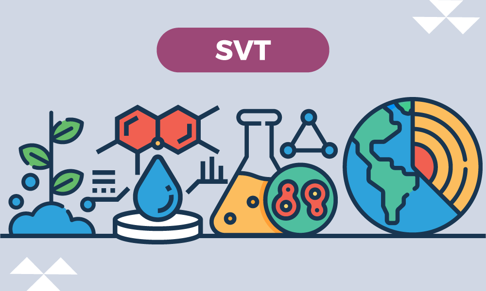 All Courses - Watad Learning Platform